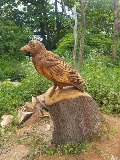 Home - Yorkshire Carving